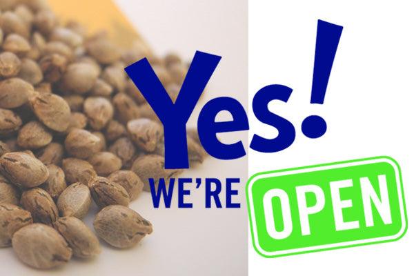 Welcome! – Mandala Seeds Shop