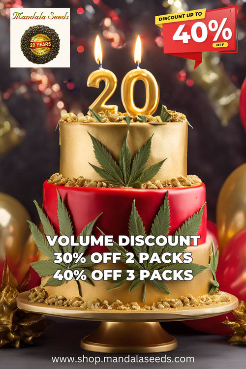 Mandala Seeds – Mandala Seeds Shop