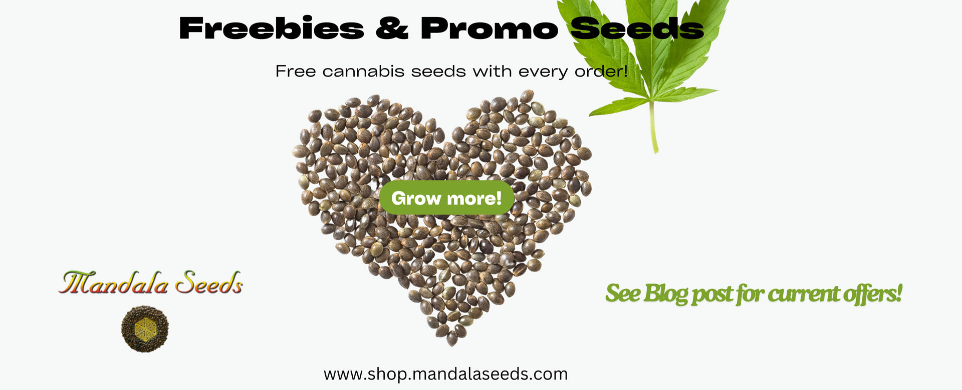 Mandala Seeds Shop