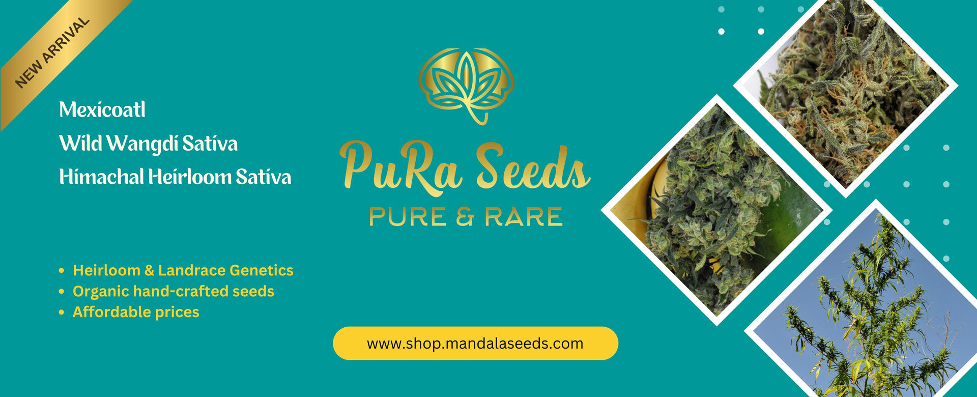 Mandala Seeds Shop